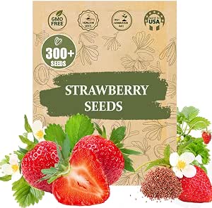 Amazon.com : Rare Strawberry Seeds for Planting – 300 Non-GMO Heirloom ...