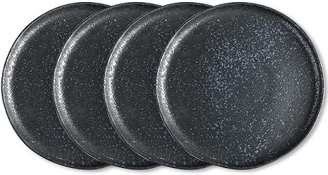 Amazon.com | Stone Lain Tom Stoneware Dinner Plate Set of 4, Black and ...