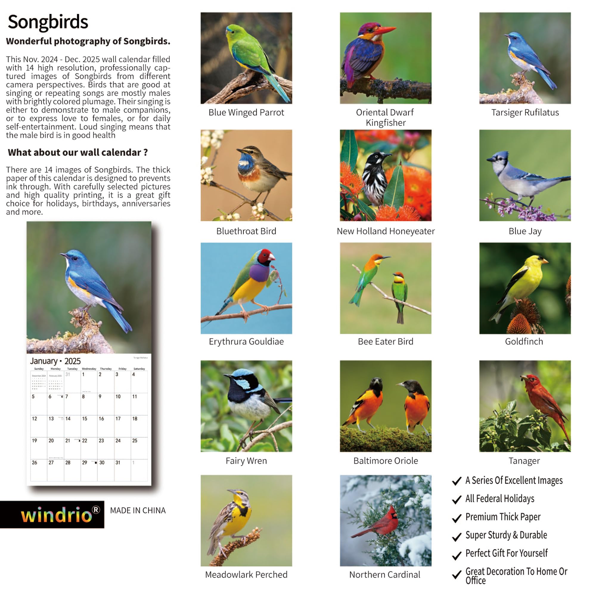 Snapklik.com : 2025 Wall Calendar,Calendar 2025, January 2025 ...