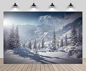 Amazon.com : CHNYWORK 20x10ft Winter Wonderland Backdrop Snow Mountain ...