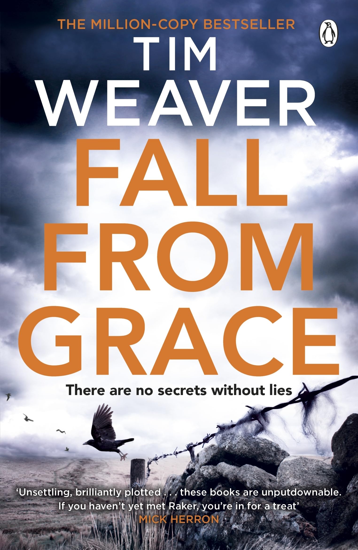 Amazon.com: Fall from Grace: 9781405913461: Tim Weaver: Books