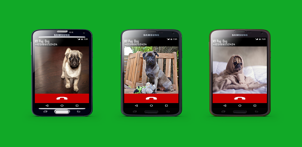 Pug Fake Call Prank ( Funny Pet Calling Prank ) - Gag fake Call from ...