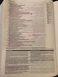 NLT Parallel Study Bible (Hardcover): Tyndale: 9781414339252: Amazon ...