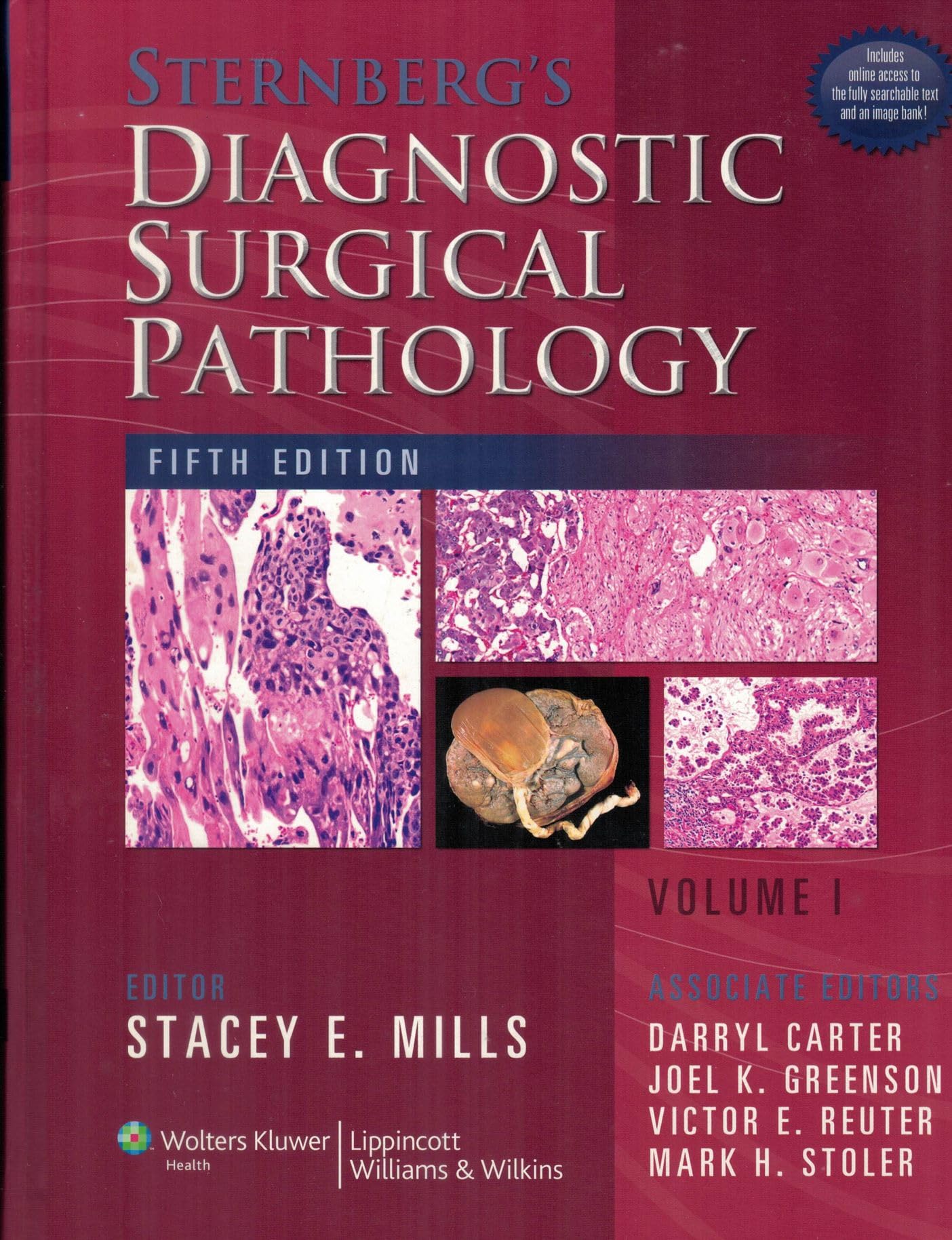 Sternbergs Diagnostic Surgical Pathology 2 Volume Set 5th Edition ...