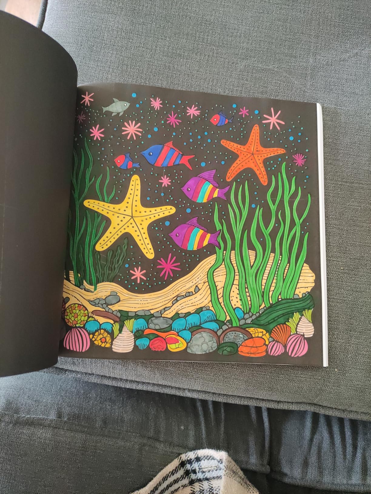 Colour-in-the-Dark Ocean Colouring Book: Whimsical Black Background ...