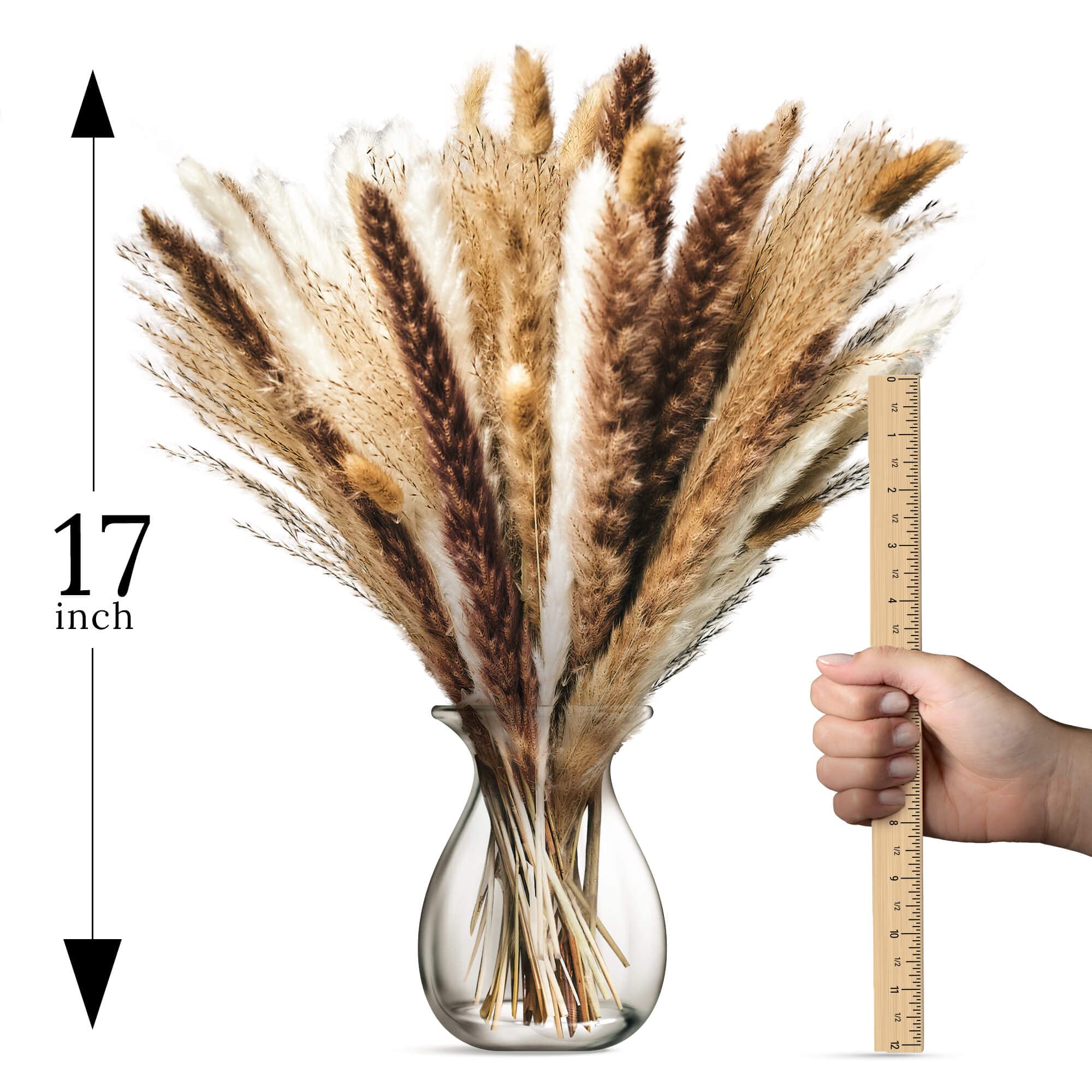Blooming Fields Dried Pampas Grass Decor - 75-Pack Natural Pompous ...