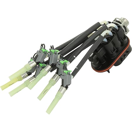 Amazon.com: Delphi FJ10565 Fuel Injector : Automotive