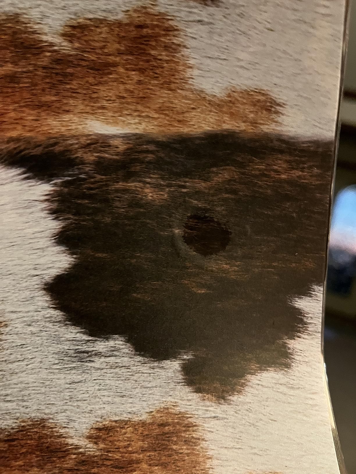 $2/mo - Finance Tintnut Cowhide Permanent Vinyl - 10 Sheets 12"x10 ...