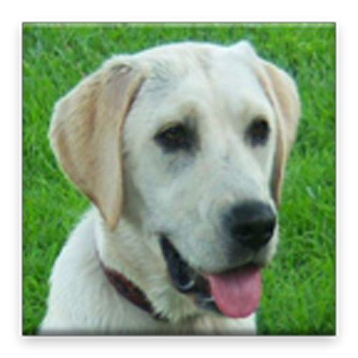 Dog Sounds - App on Amazon Appstore