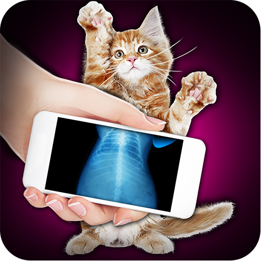 Xray Scanner Pet Cat Prank - App on Amazon Appstore