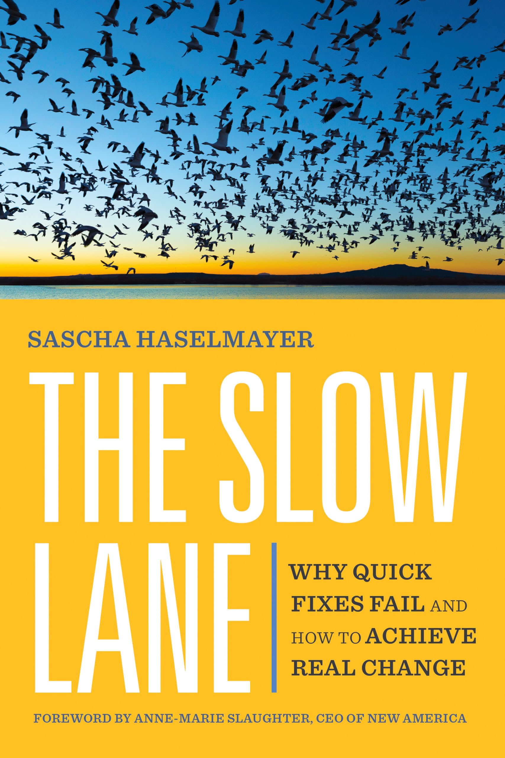 Amazon.com: The Slow Lane: Why Quick Fixes Fail and How to Achieve Real ...