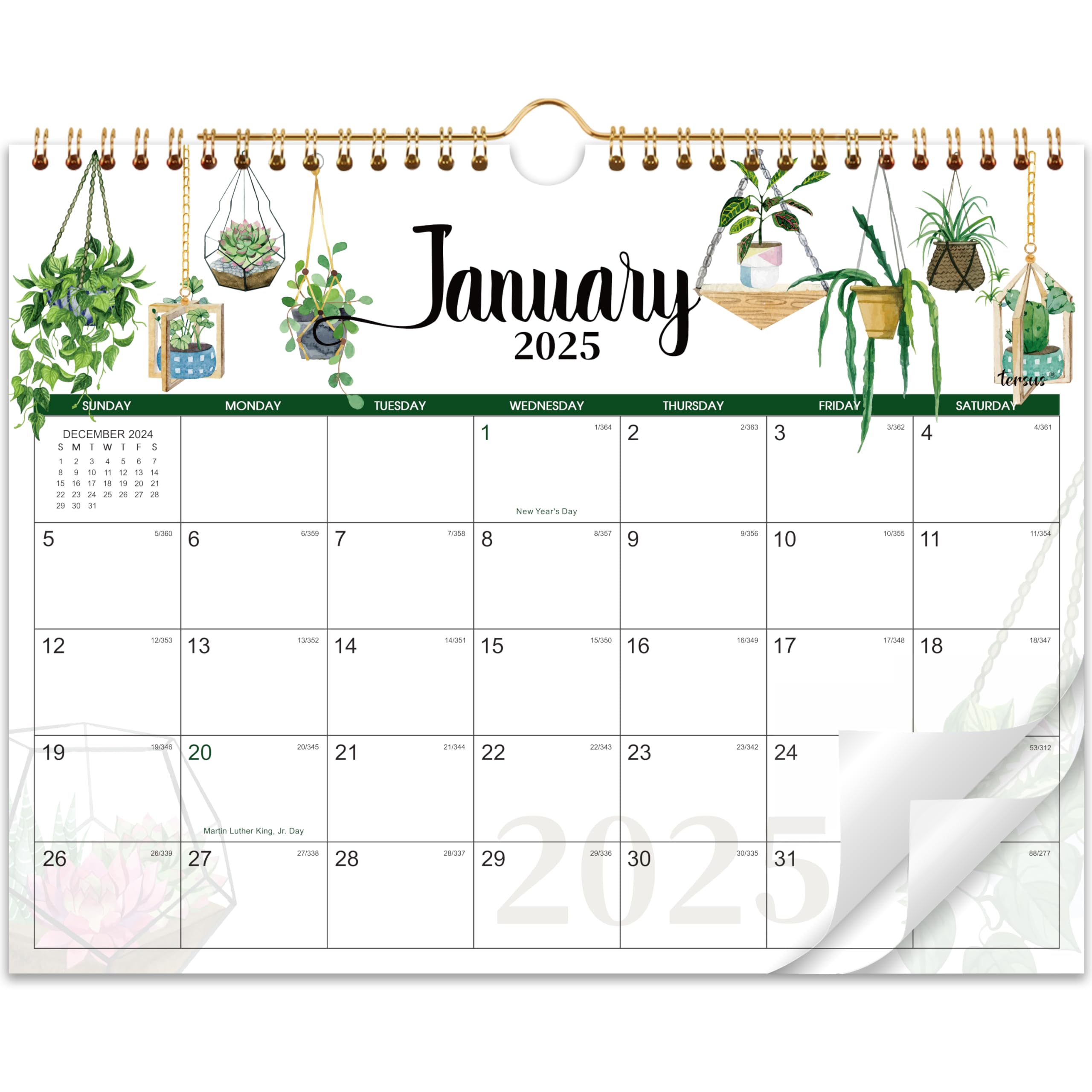 Buy 2025 Wall - 2025 , 12 Months 2025 from Jan. - Dec.2025, 11" x 8.5", Monthly 2025, Twin-Wire ...