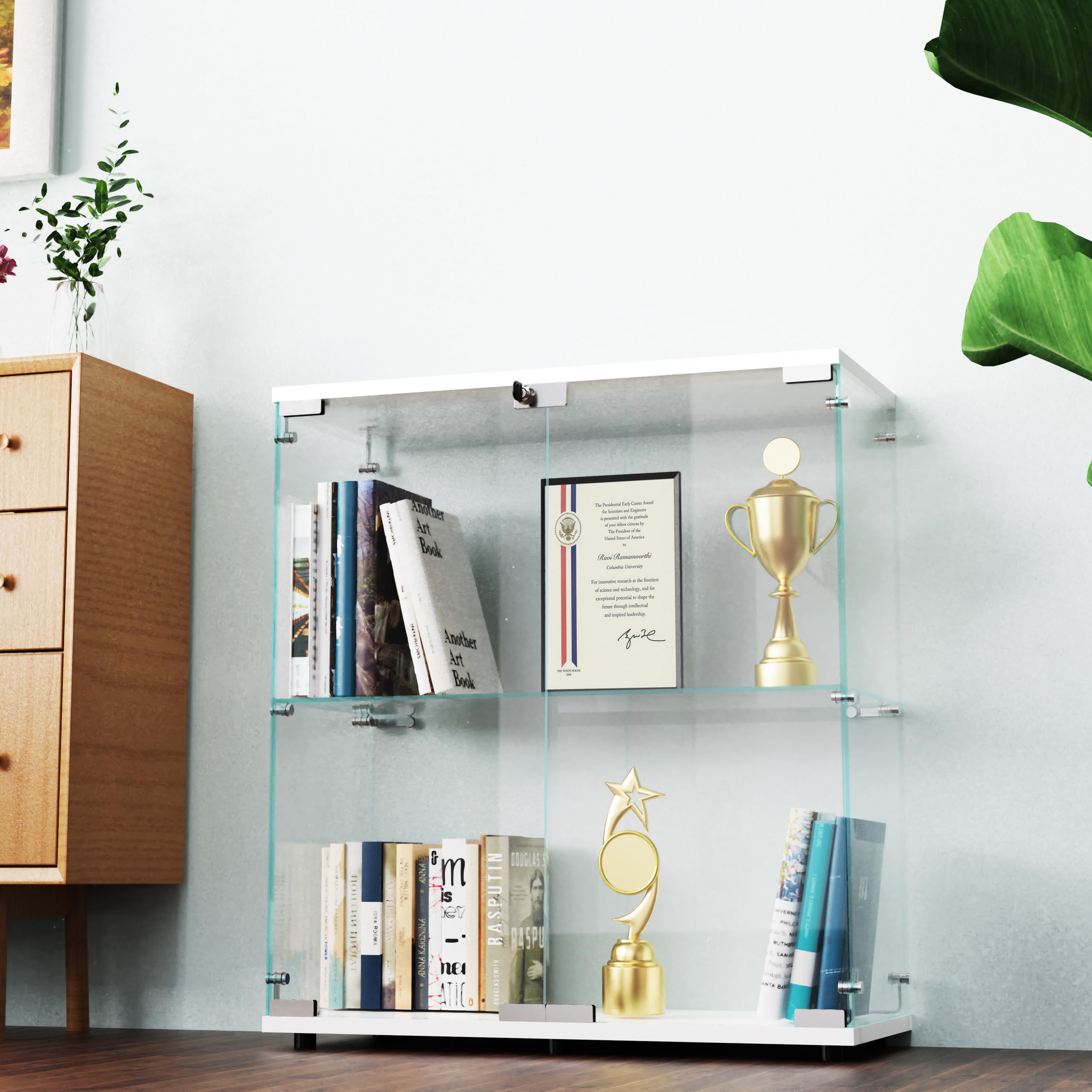 Amazon.com: Dolonm Glass Display Cabinet 2 Shelves with 2 Doors, 5mm ...