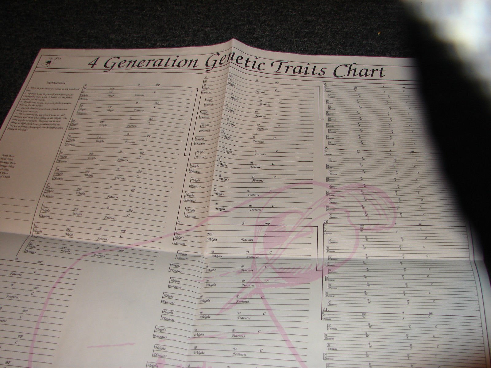 Genetic Traits Chart