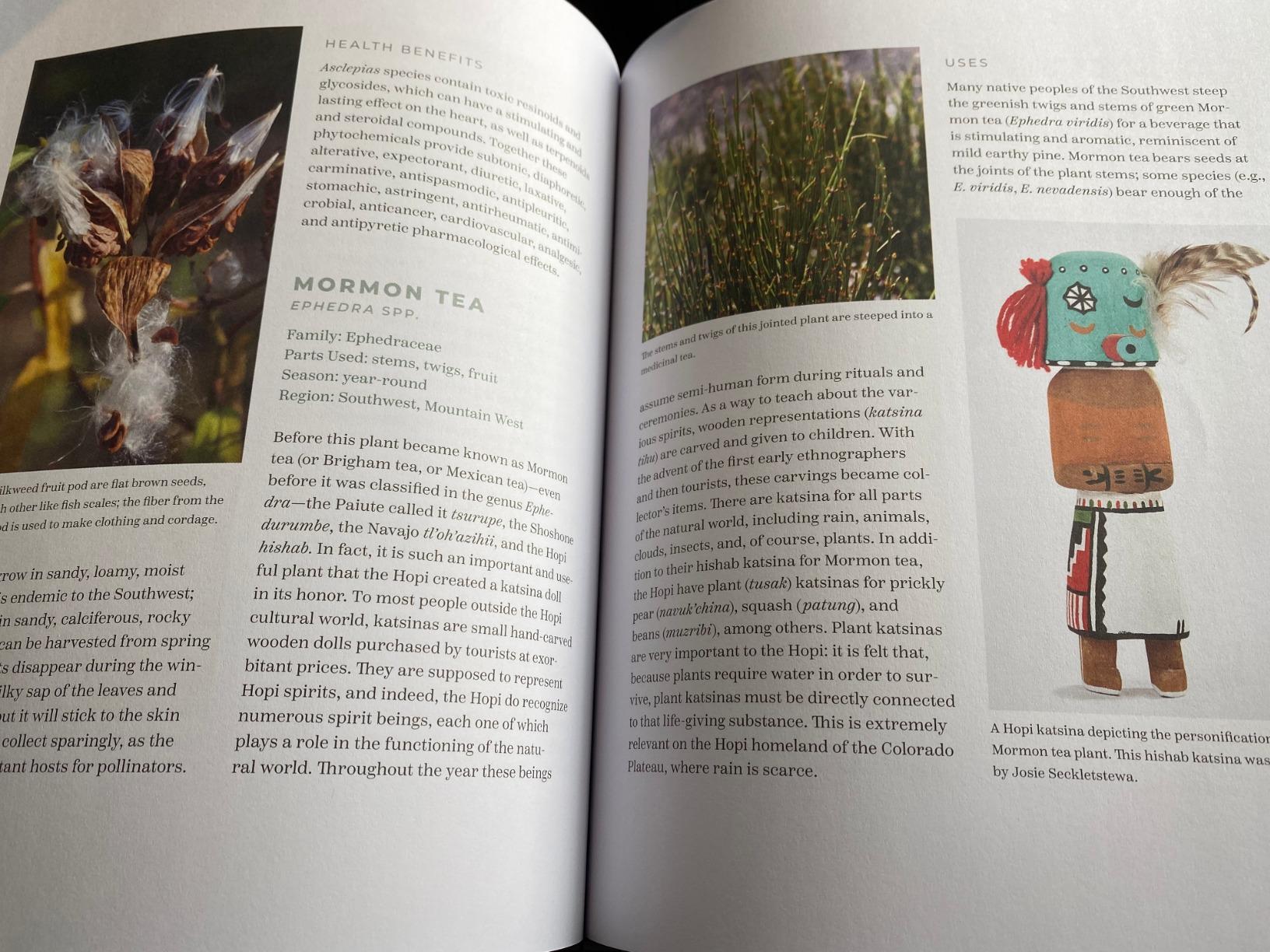 Iwigara: American Indian Ethnobotanical Traditions and Science: Salmon ...