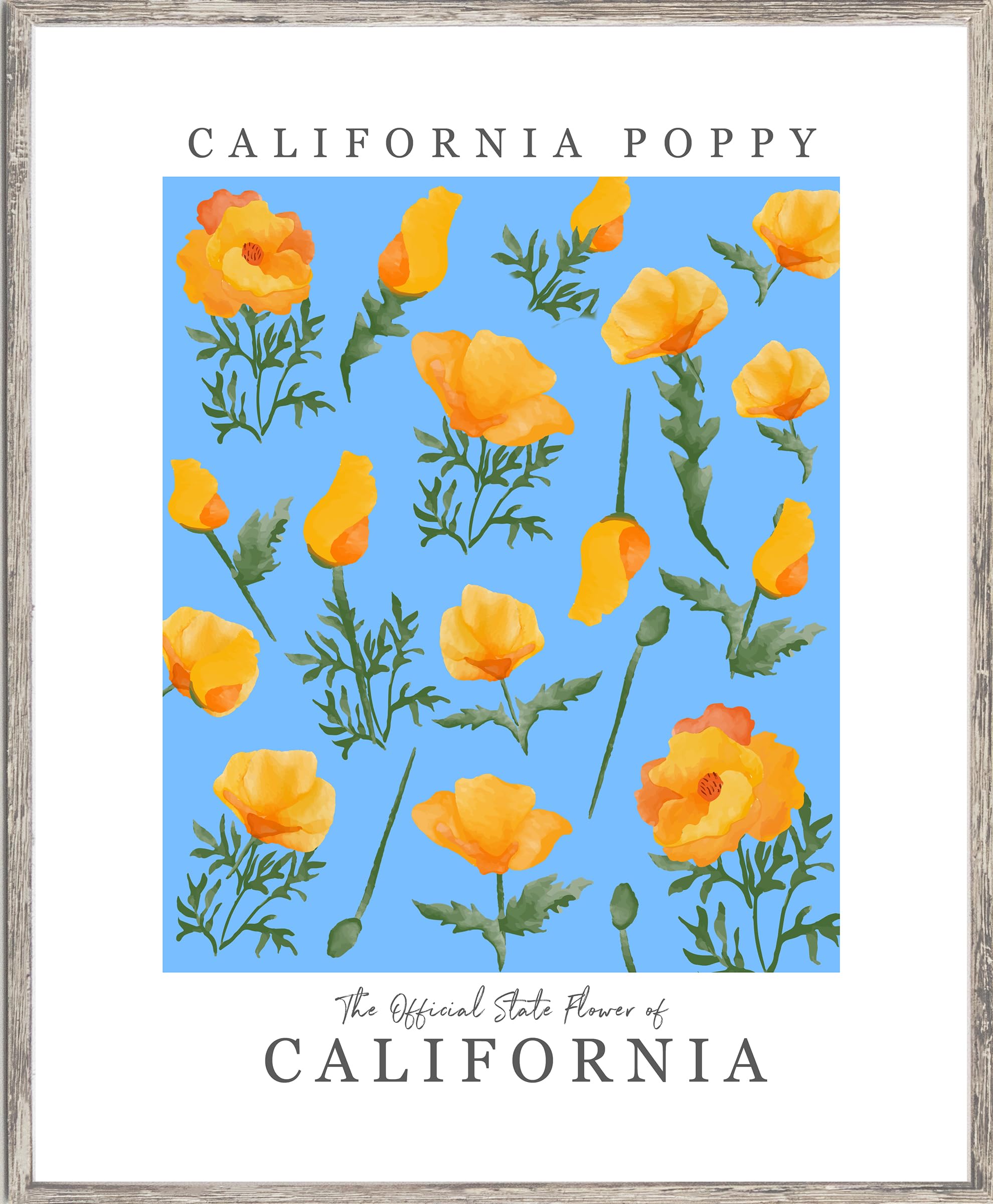 Ca State Flower