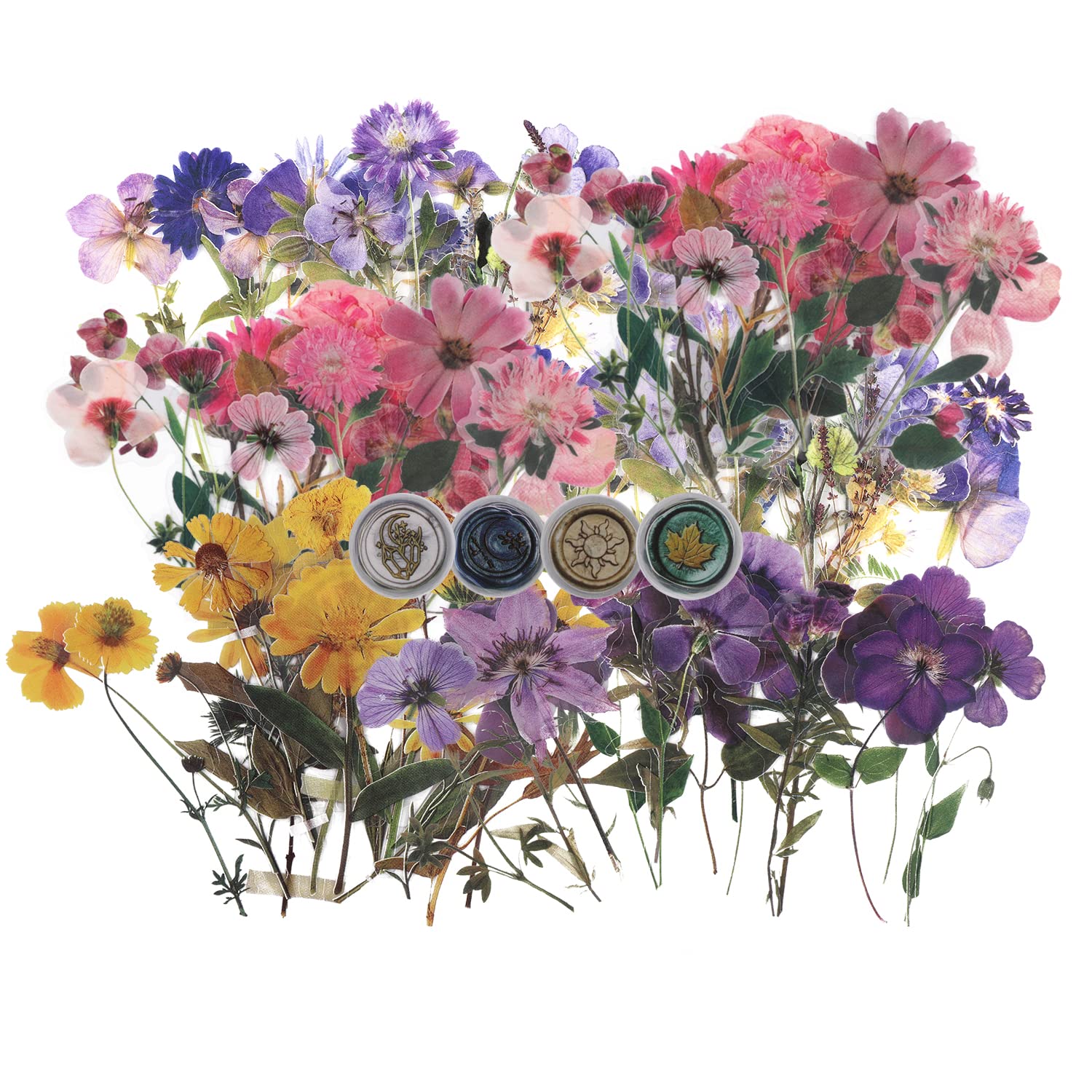 Amazon.com: 160pcs Pressed Transparent Flower Stickers, Dried Flower ...