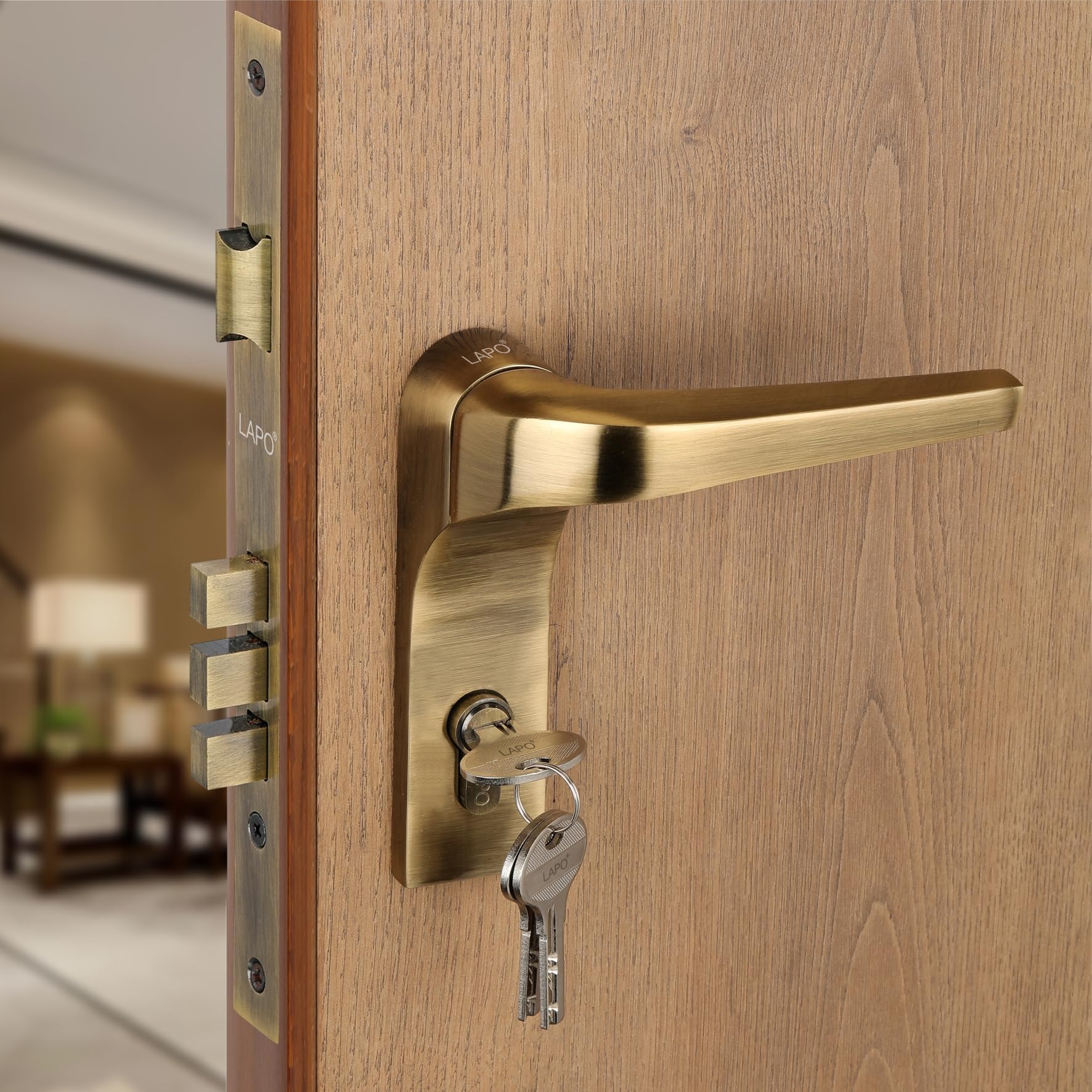 erose Luxury 7 Inch Mortise Door Locks for Main Door, Bedroom, Bathroom ...