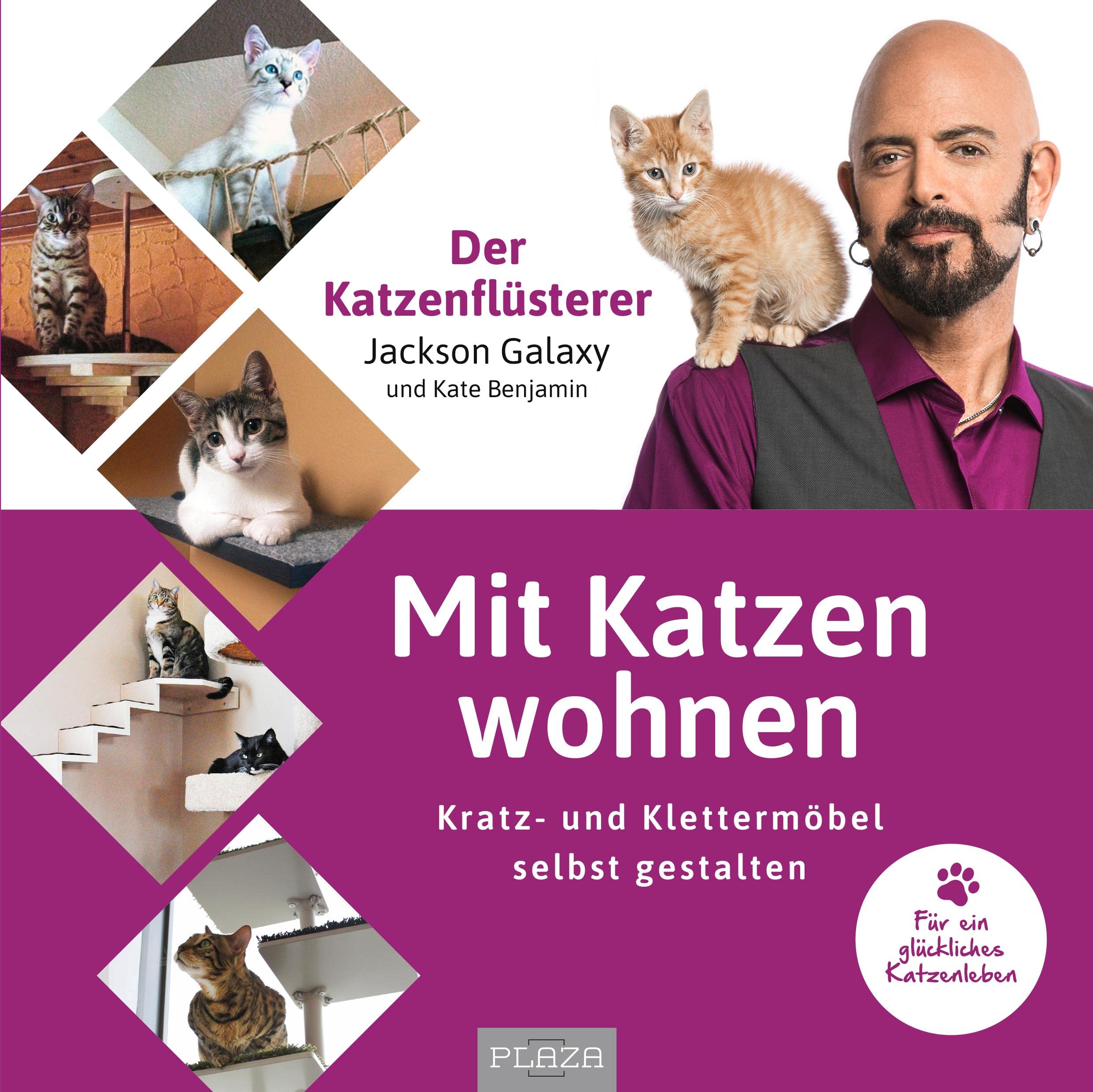 Mit Katzen wohnen: Kratz- und Klettermöbel selbst gestalten für ein ...