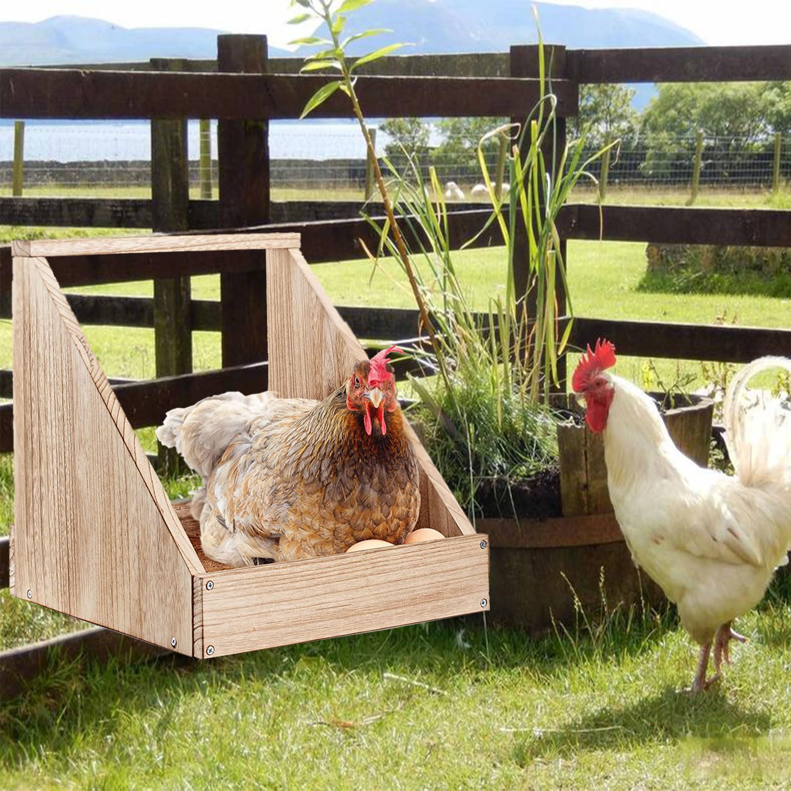 Chewoof 2 Pack Chicken Nesting Box, Wooden Chicken Coop, Chicken Coop ...
