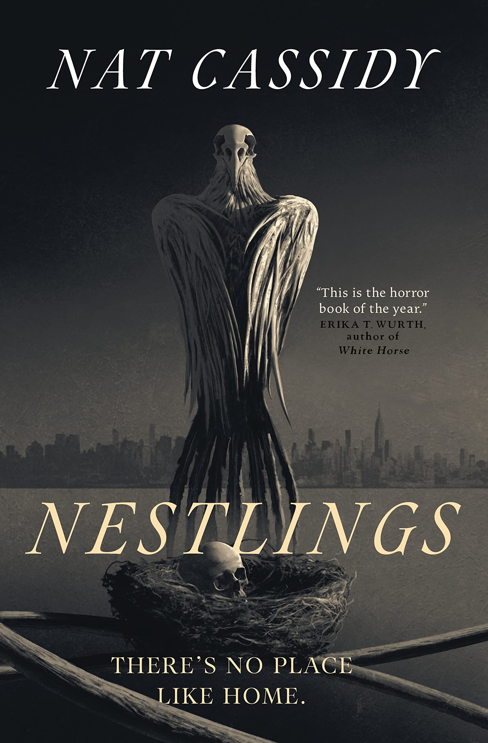 Amazon.com: Nestlings: 9781250265258: Cassidy, Nat: Books