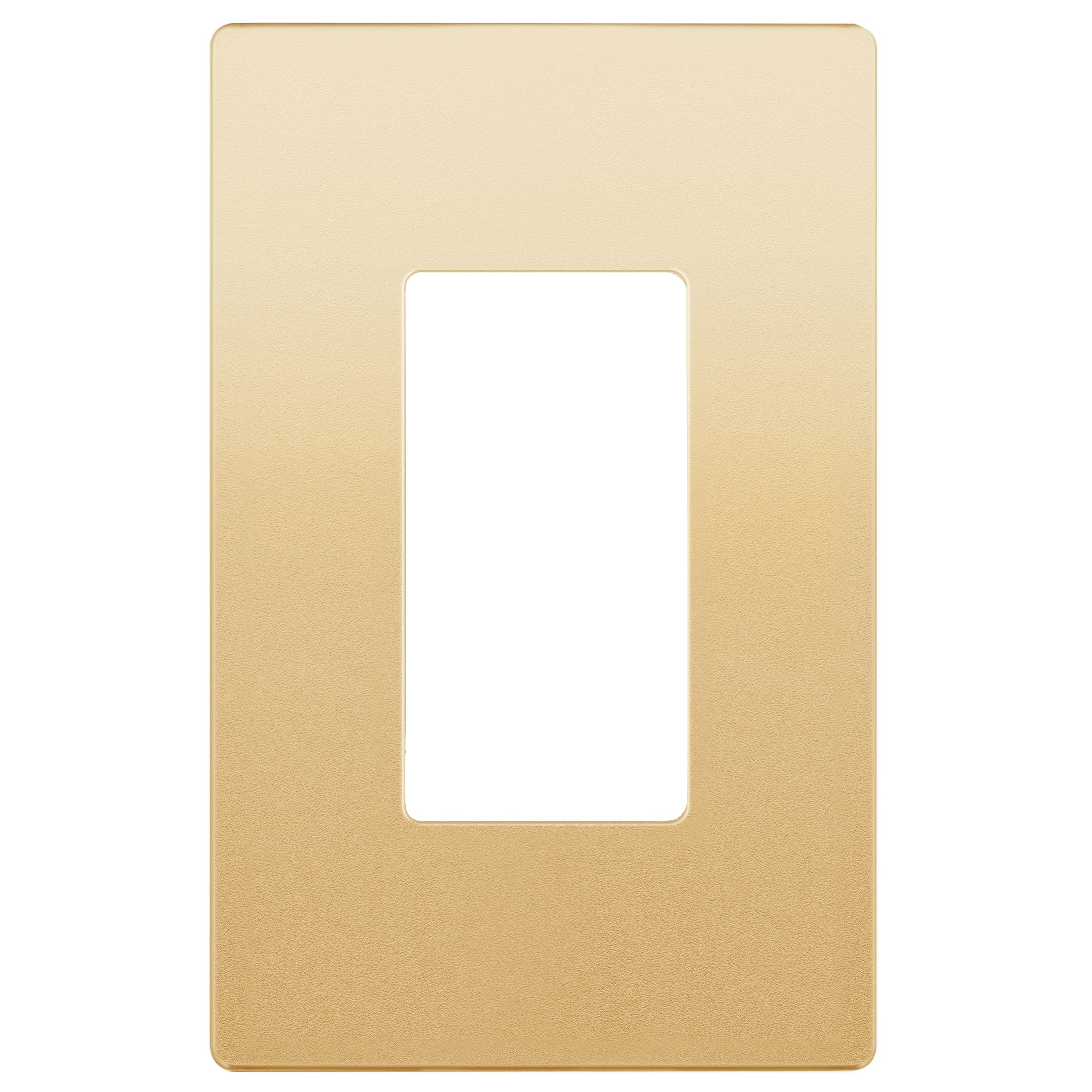 LIDER Matte Finish Decorator Switch Cover, Screwless Wall Plate, Mid ...