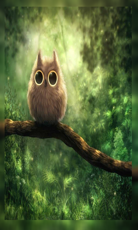 Drawn Owl Desktop Wallpaper