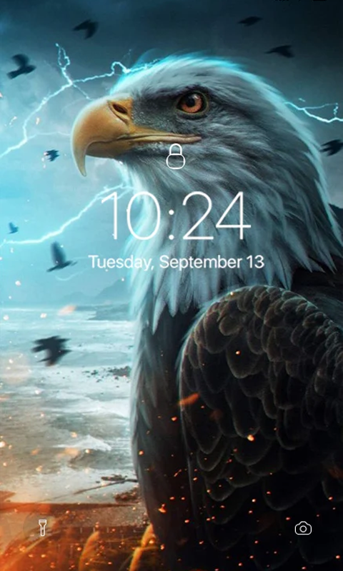 Eagle Wallpapers For Android Eagle Eye Wallpaper,HD Artist