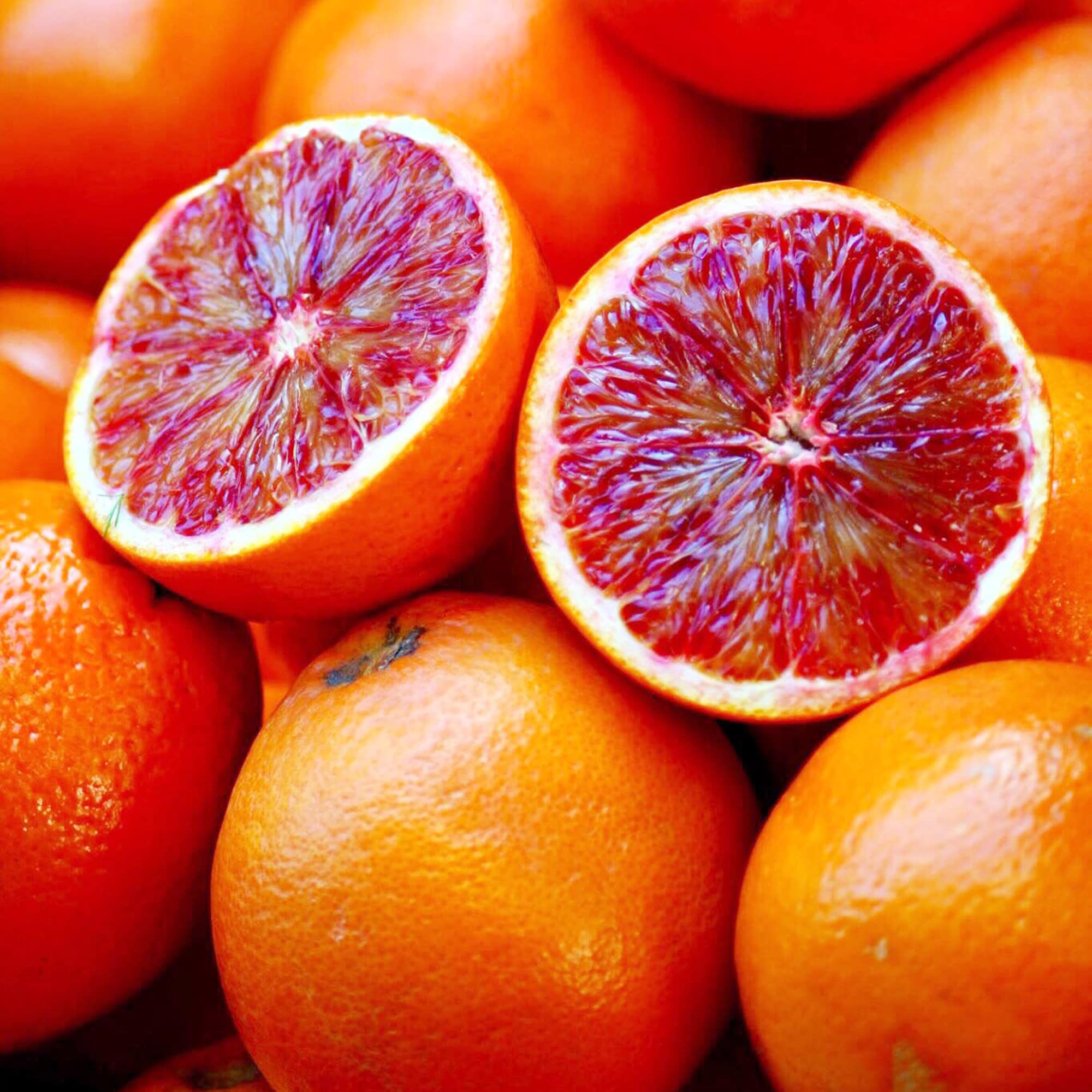 Blood Orange Tree Seeds