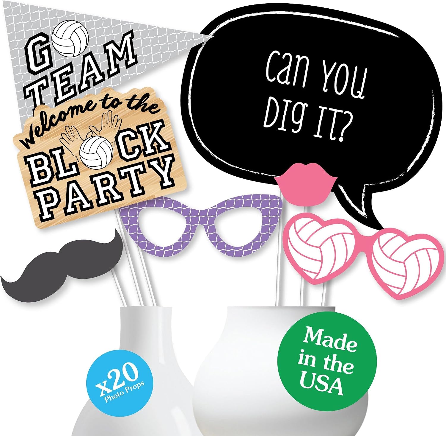 Amazon.com: Big Dot of Happiness Volleyball Party Photo Props Kit - 20 ...