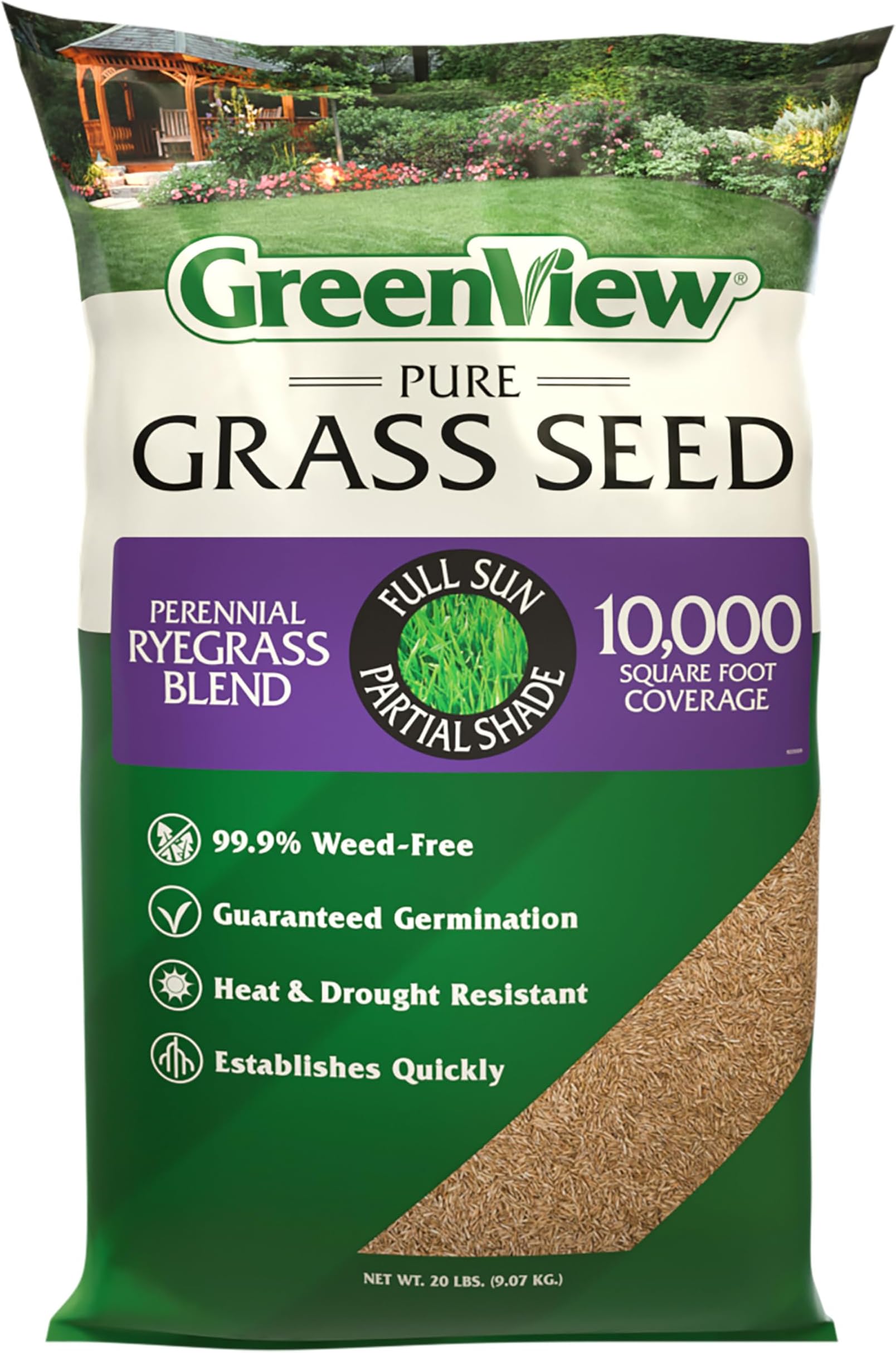Amazon.com : Blackout Perennial Ryegrass Grass Seed - Fireball and ...