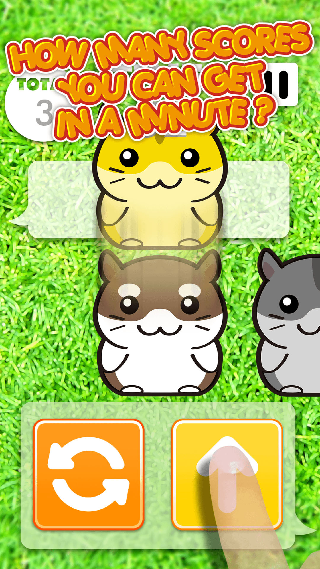 Hamster Dojo - Best Fun Pocket Games Play With My Littlest Pet Hamsters ...