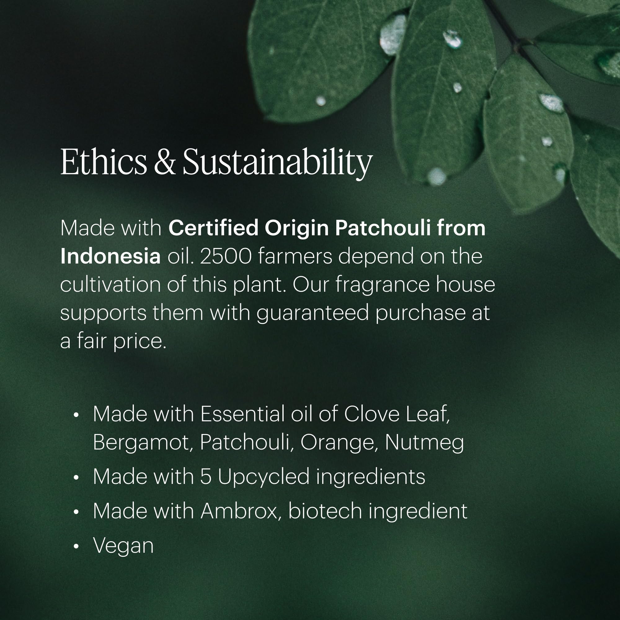 Snapklik.com : AERA Moondance - Essential Oil For Home- Warm And ...