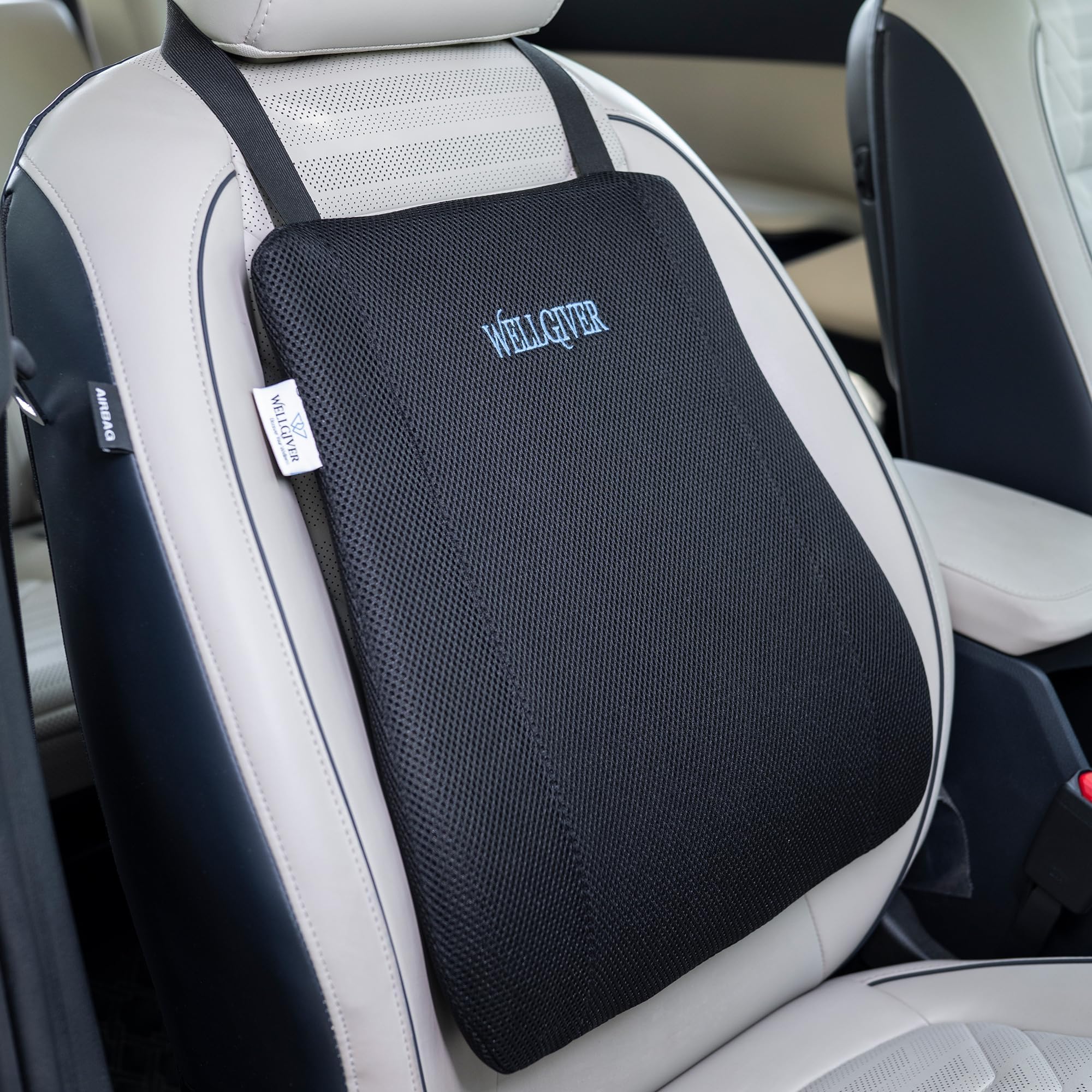 FOVERA Lumbar Support for Car, Back Rest Support Memory Foam Cushion ...