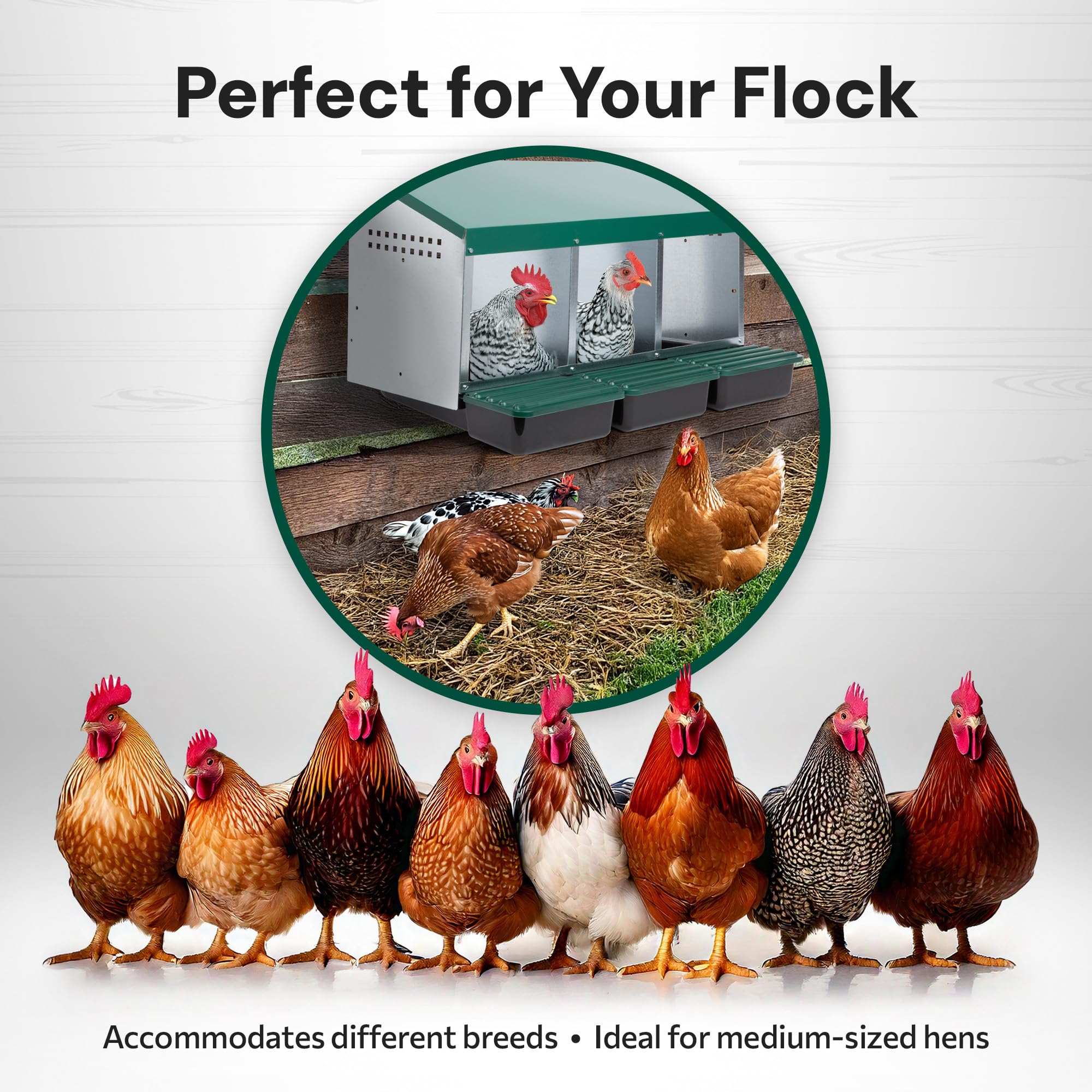 Snapklik.com : Homestead Essentials Compact Style 3 Compartment ...