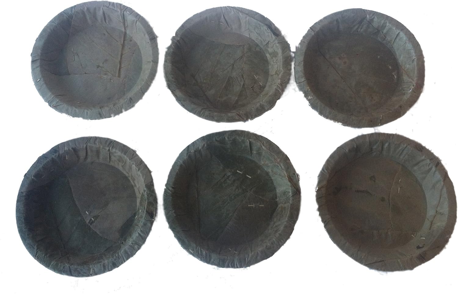 Amazon.com | Set of Twelve Coconut Tree Leaf Recycled Pattal Dinner ...