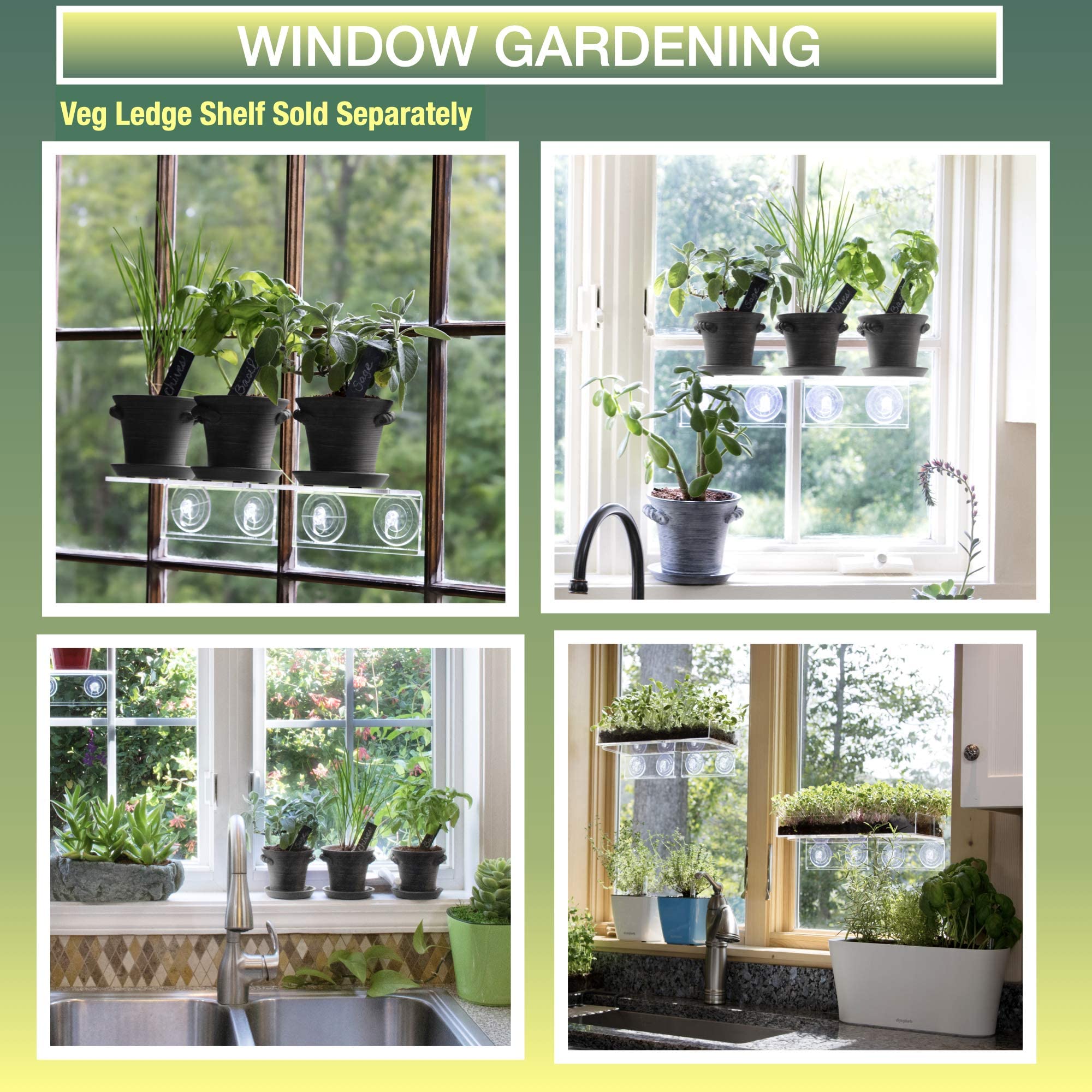 Kitchen Window Garden