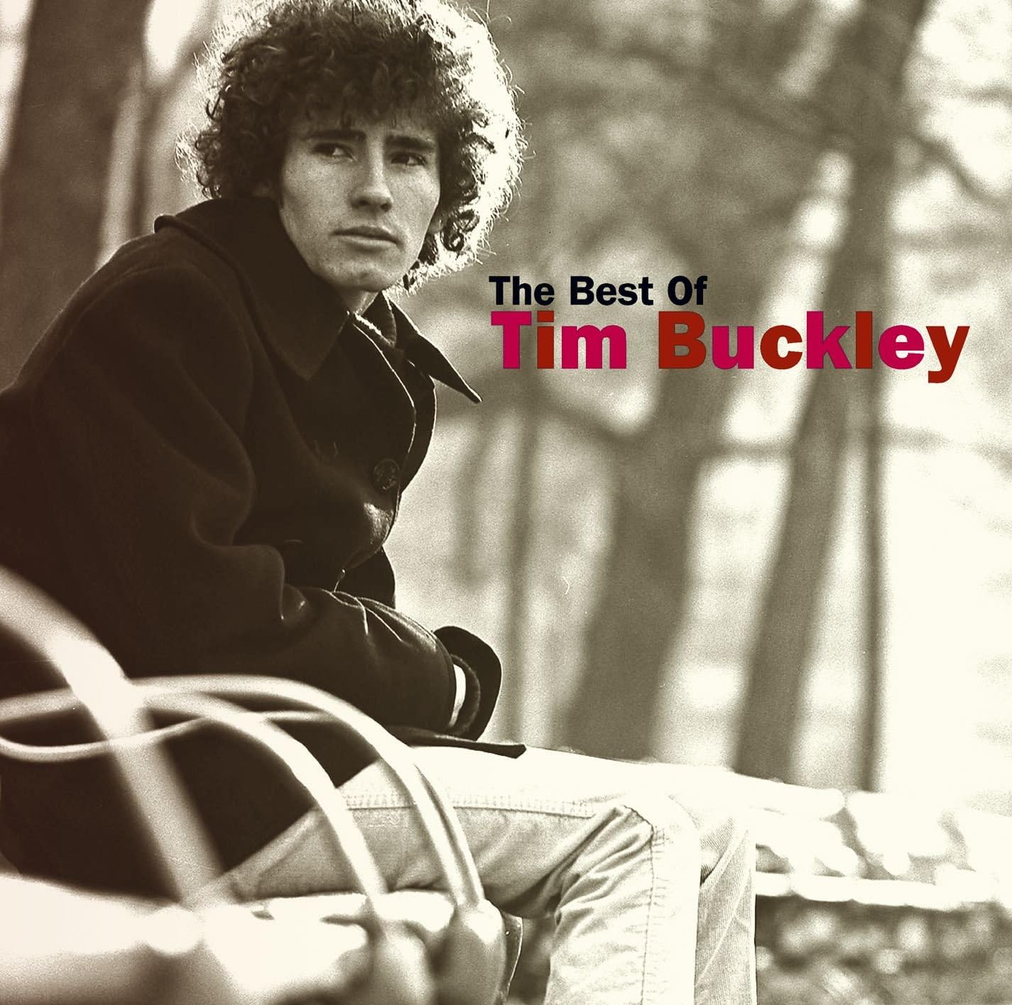 The Best Of Tim Buckley: Tim Buckley, Tim Buckley: Amazon.it: CD e Vinili}
