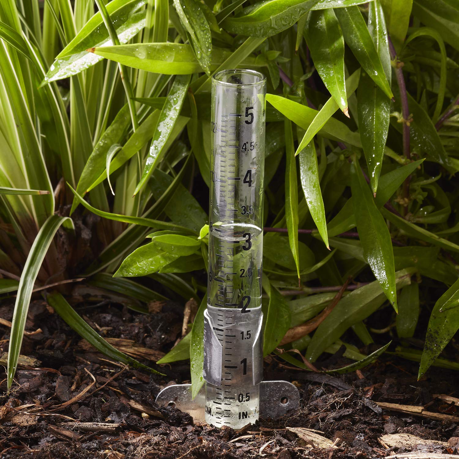 Snapklik.com : 2710N2 Mountable Rain Gauge, Measure And Monitor ...