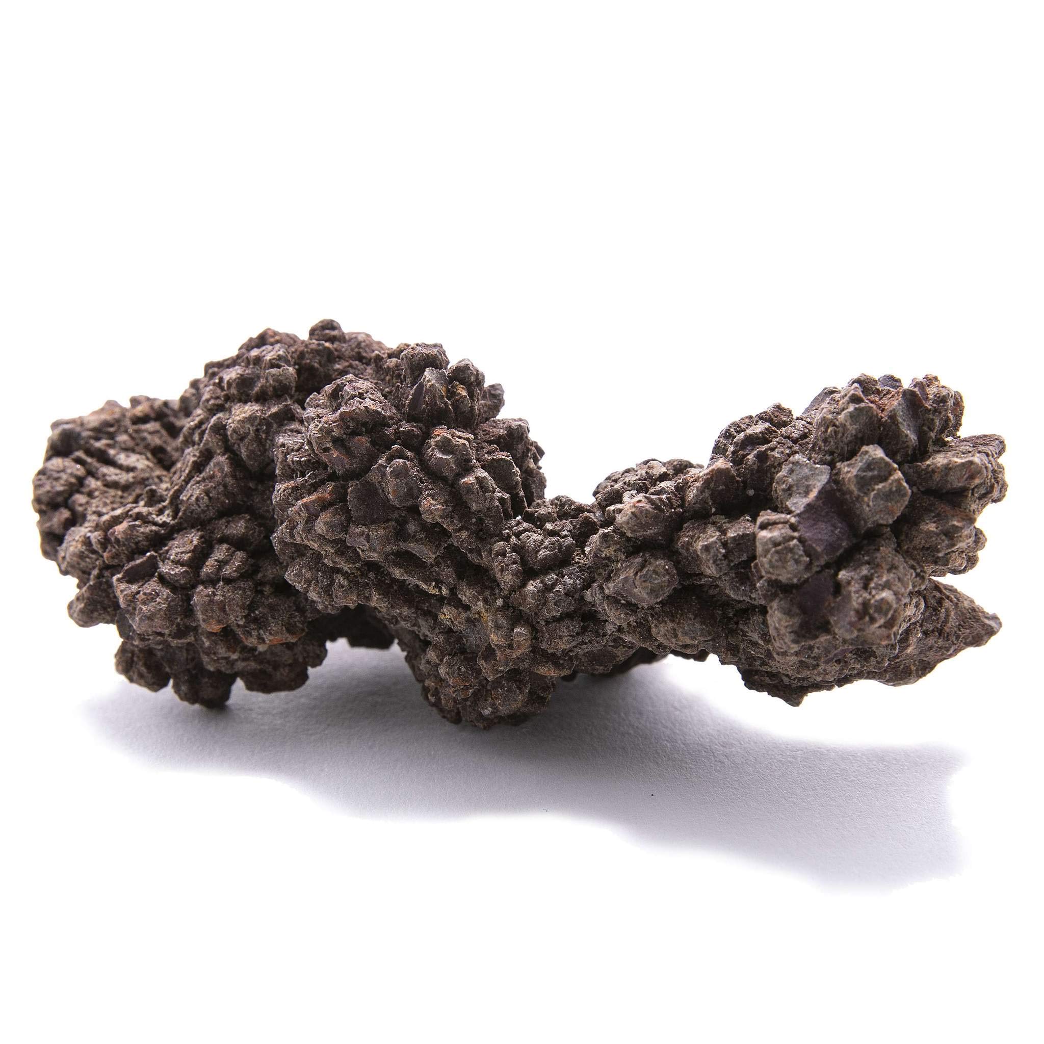 KALIFANO Authentic Prehistoric Dinosaur Coprolite Feces Trace Fossil ...