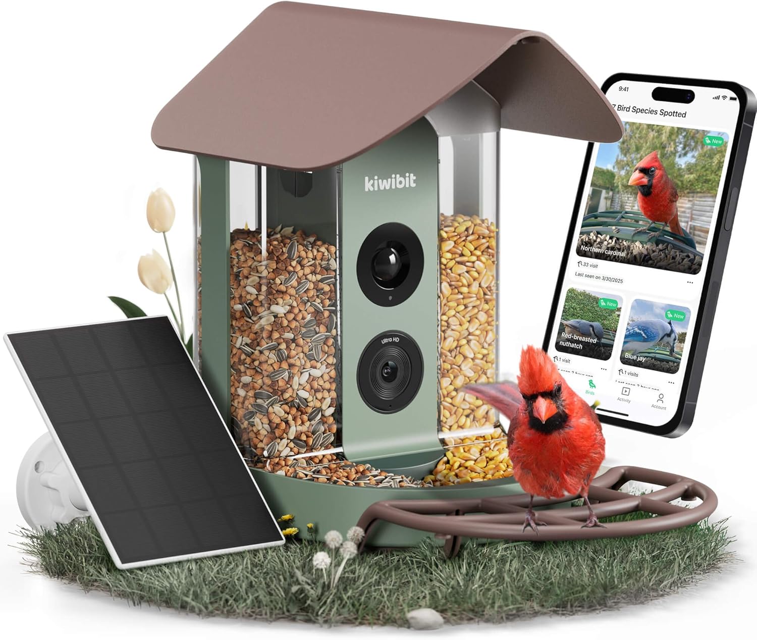 Amazon.com : Kiwibit Beako™ Smart Bird Feeder with 4K Camera No ...
