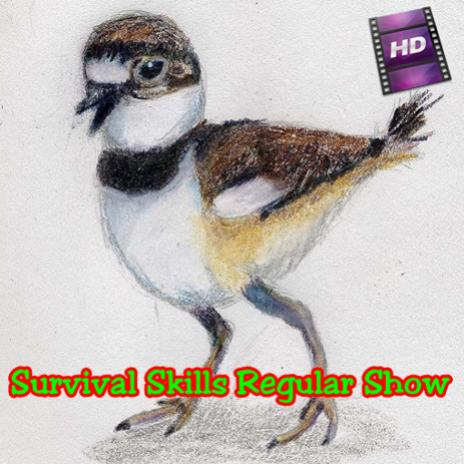 Survival Skills Regular Show - App on Amazon Appstore