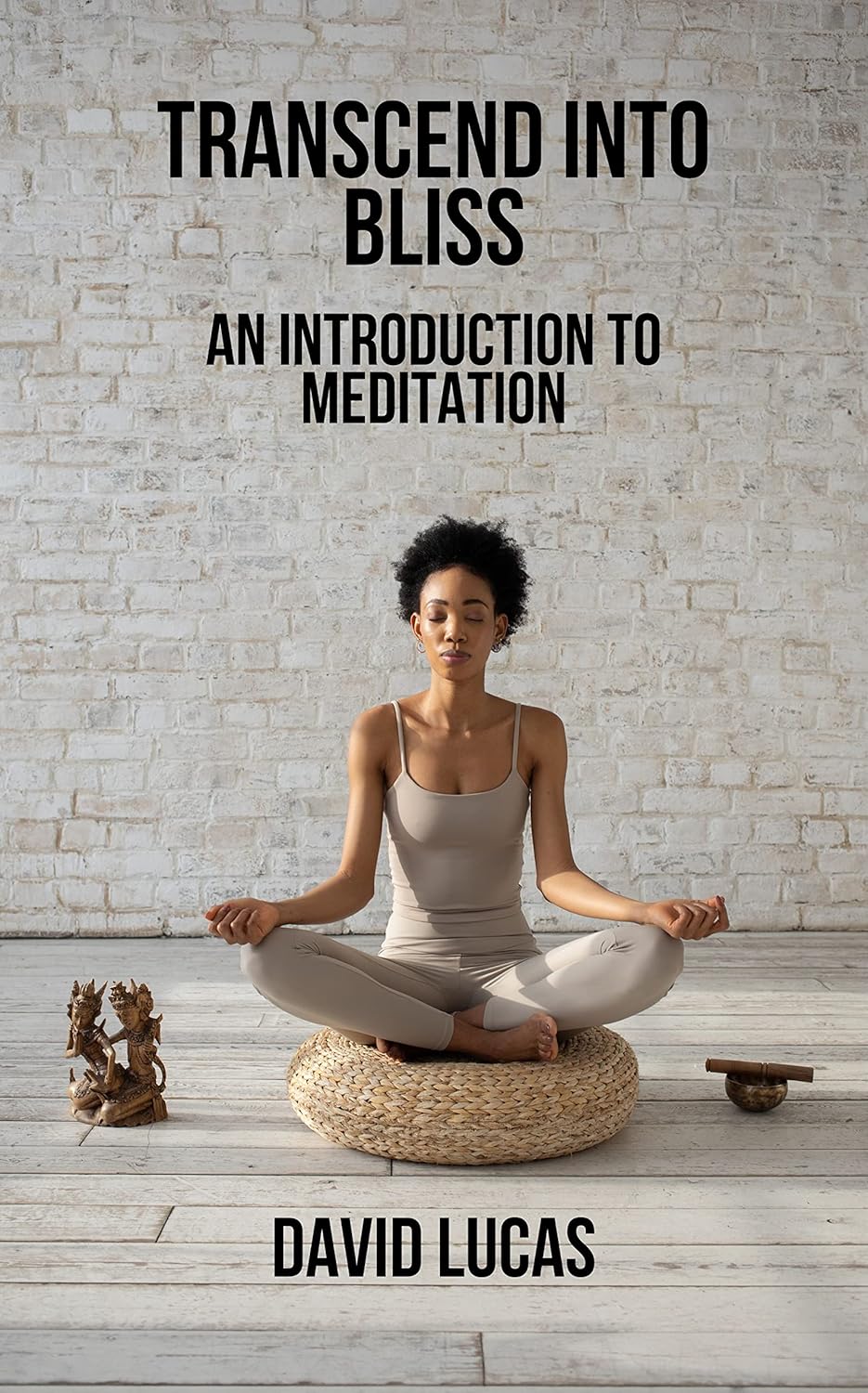 Transcend into Bliss: An Introduction to Meditation - Kindle edition by Lucas, David. Religion ...