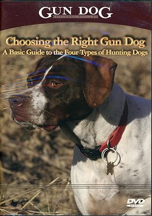 Amazon.com: Gun Dog Choosing the Right Gun Dog DVD : Gun Dog Staff, Gun ...