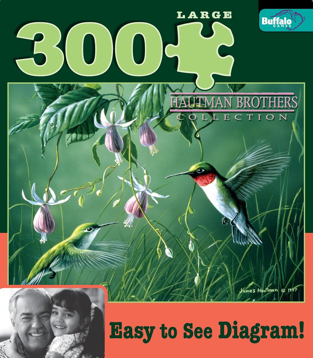 Amazon.com: Buffalo Games Hautman 300 - Hummingbirds and Fuschia : Toys ...