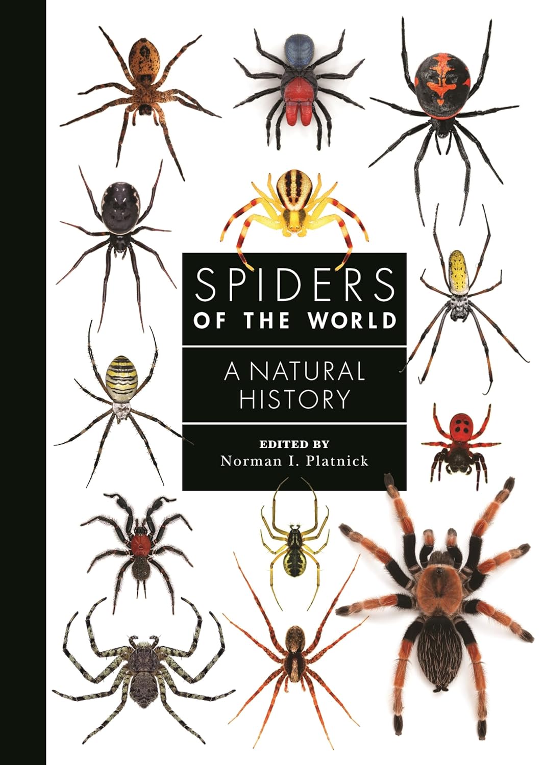 Spiders of the World: A Natural History (Guide to Every Family ...