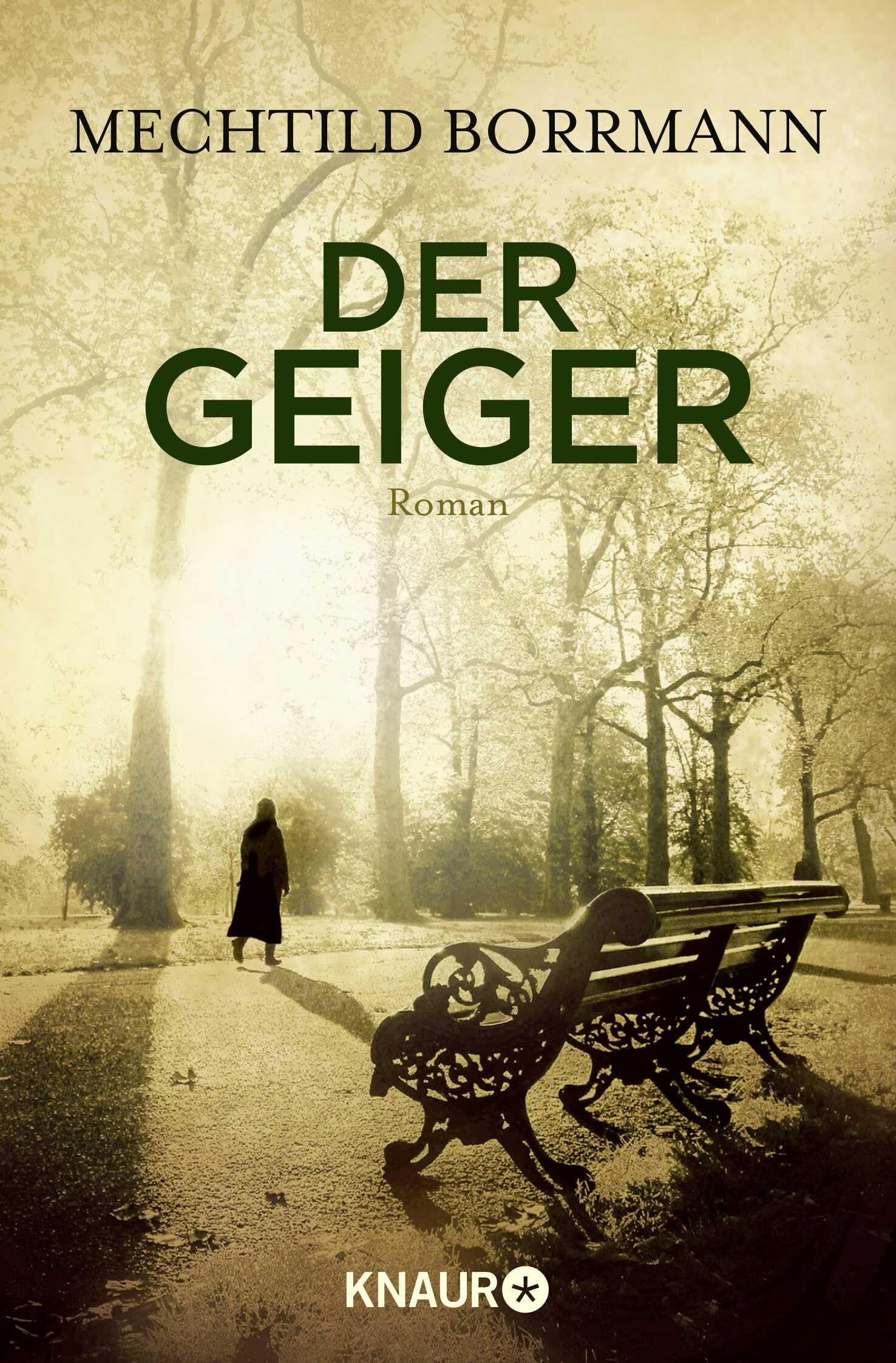 Der Geiger: Roman : Borrmann, Mechtild: Amazon.de: Bücher