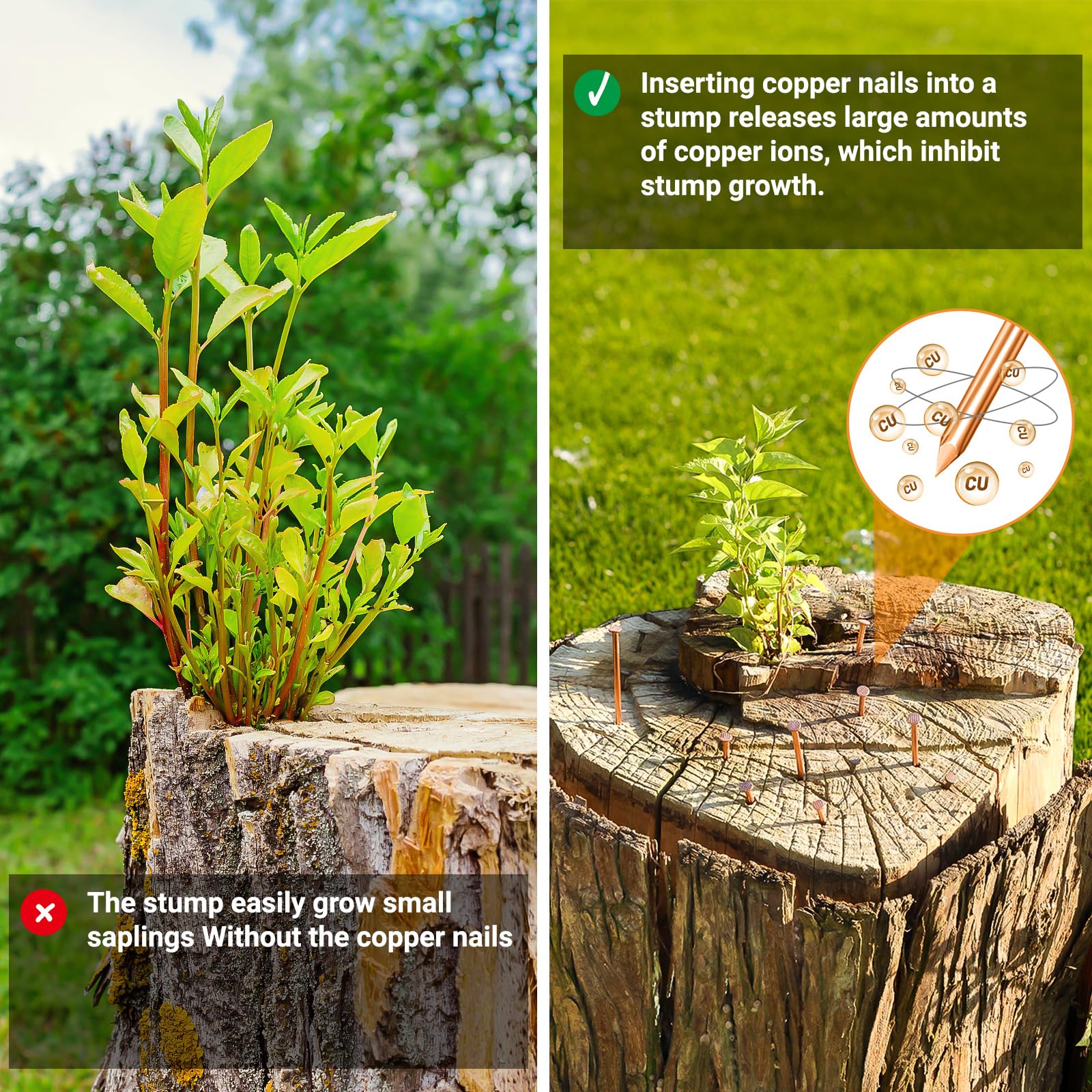 Snapklik.com : UCandy 4" Copper Nails For Killing Trees Stump Root, 20 ...