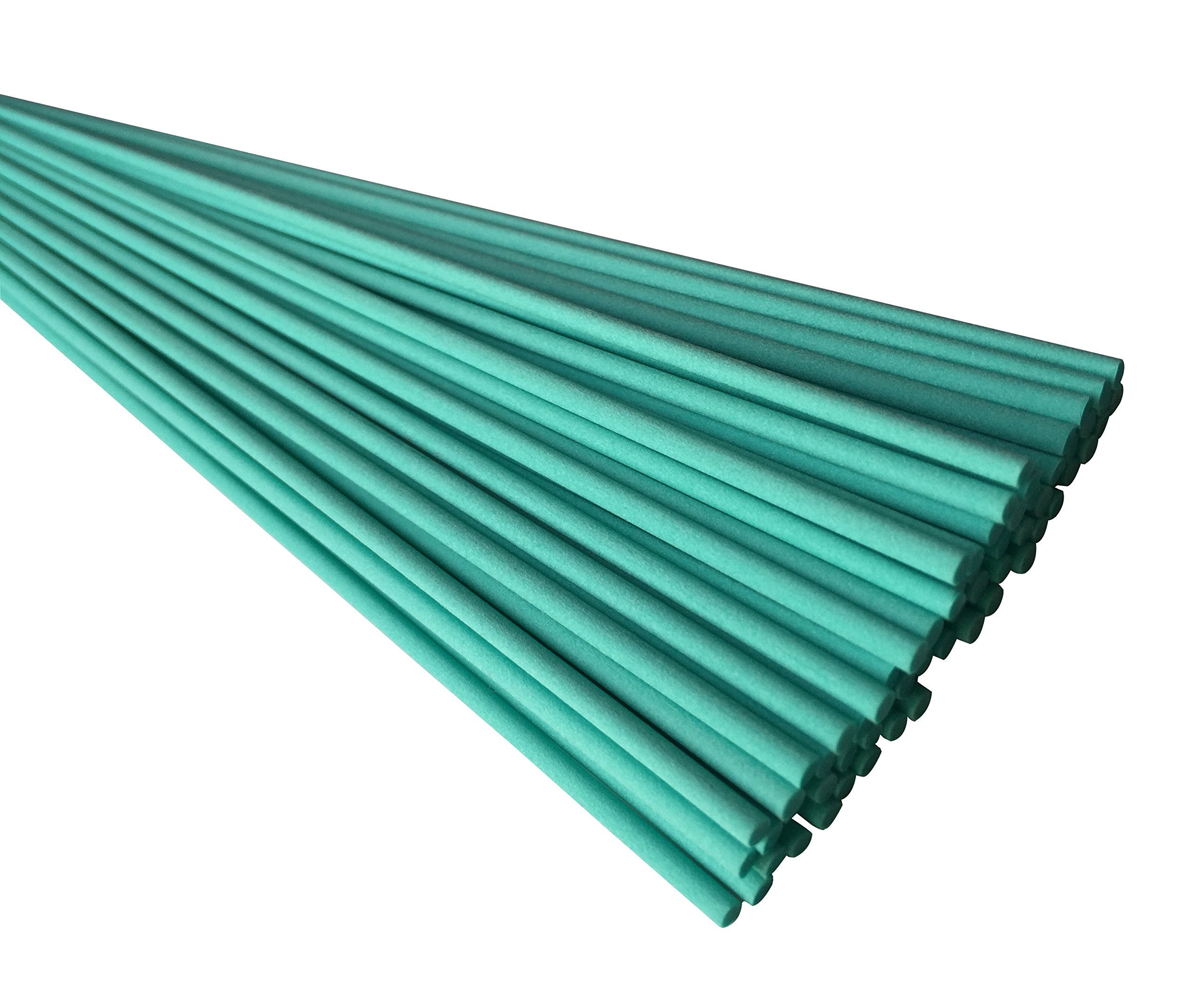 Amazon.com: Breath Me TM 25pcs Teal Color Fiber Reeds Sticks 12 inch ...
