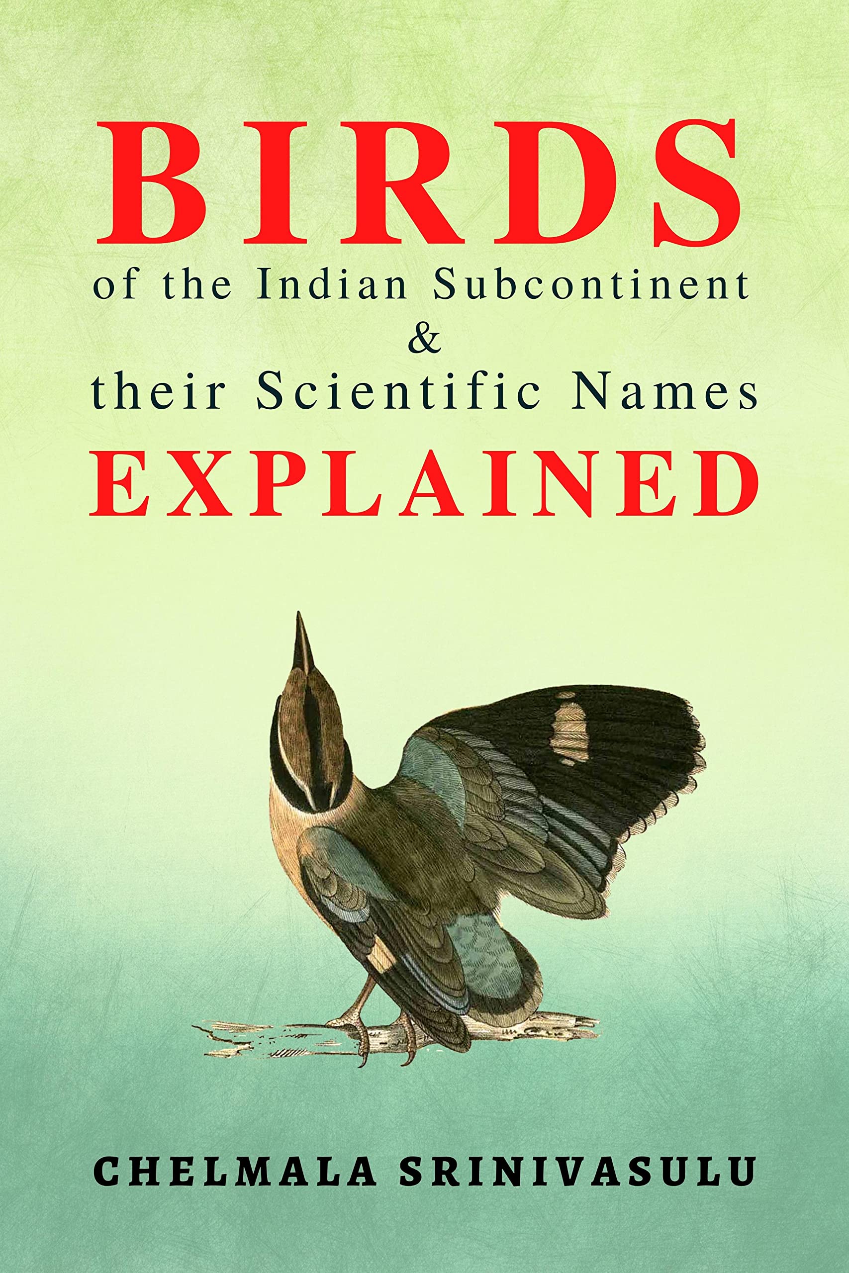 Indian Birds With Their Names Identify The Birds That Shown With Their